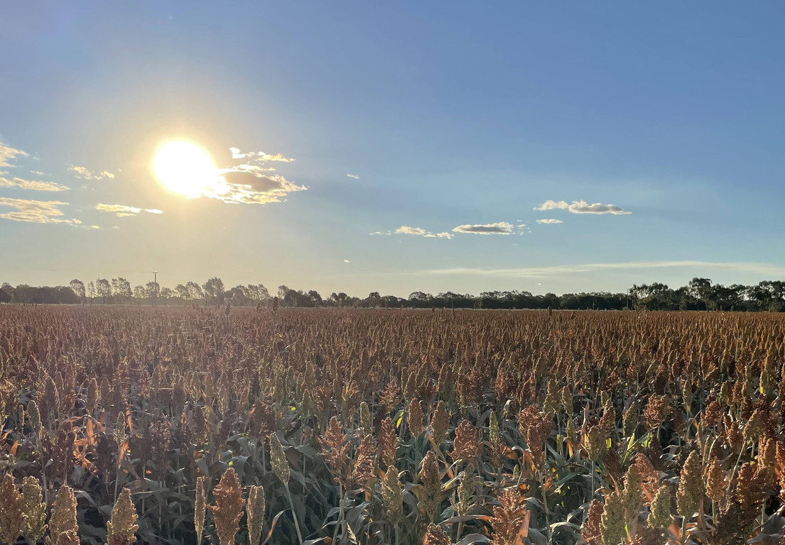 Changes To How We Shop And Consume Food In A Covid 19 World Merricks