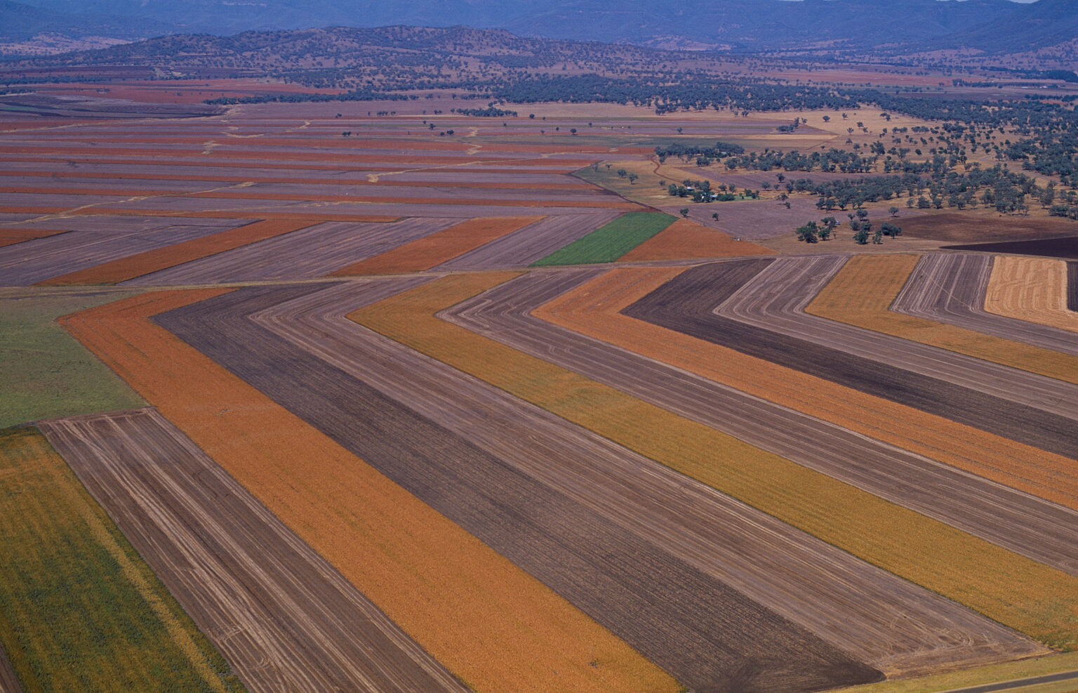 Partners Fund Update - March 2024 — Merricks Capital