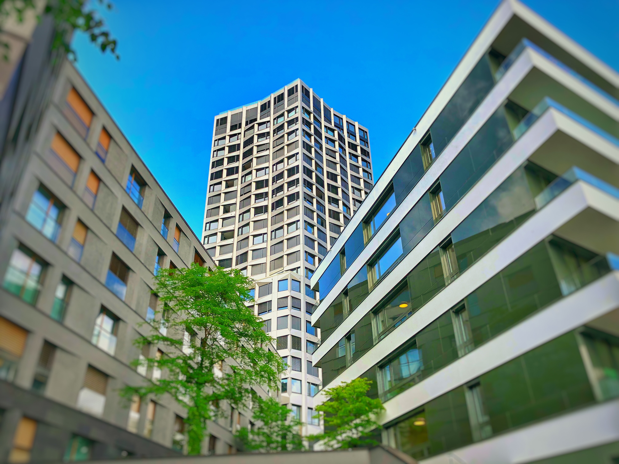 Build-to-Rent Lending Gains Investor Trust